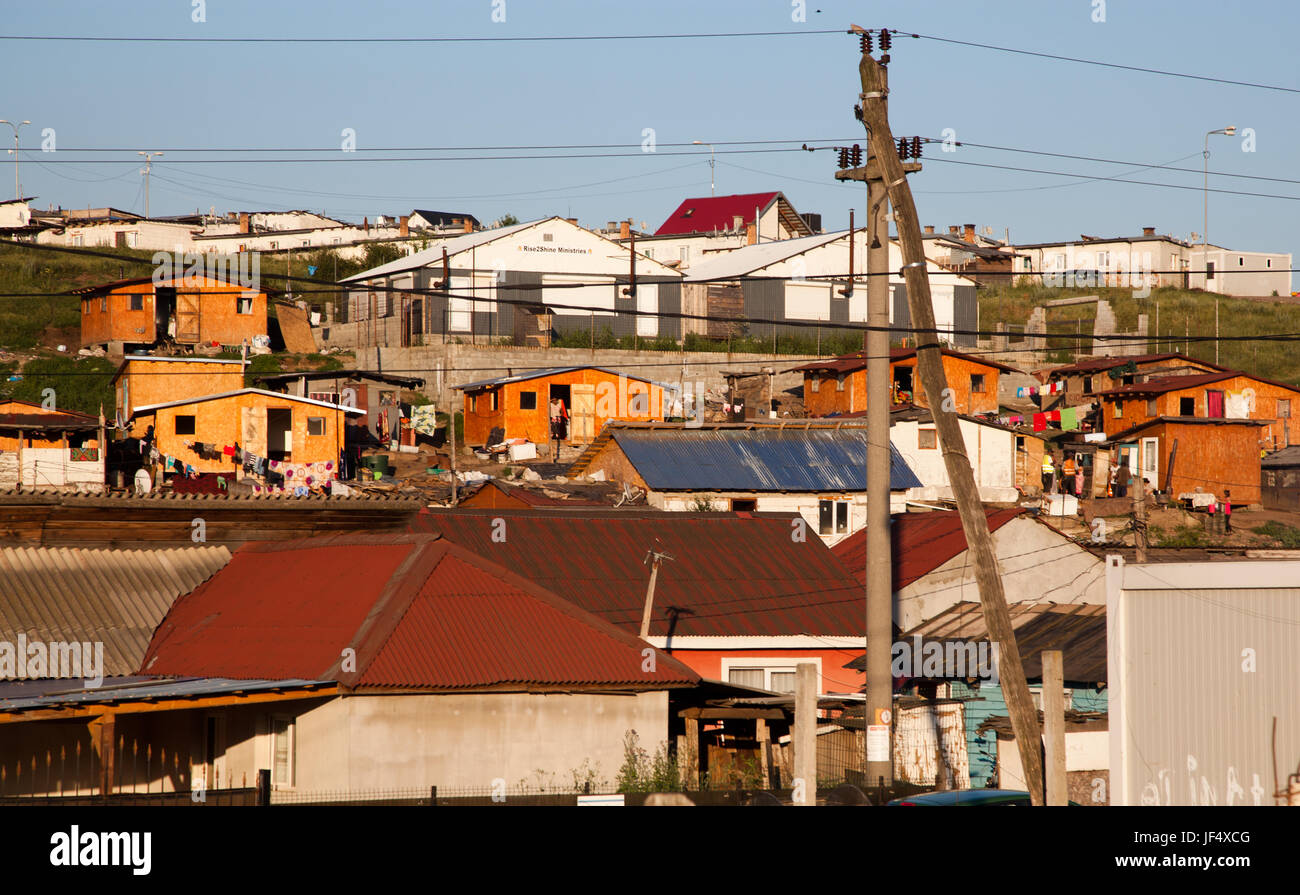 Pata rat hi-res stock photography and images - Alamy