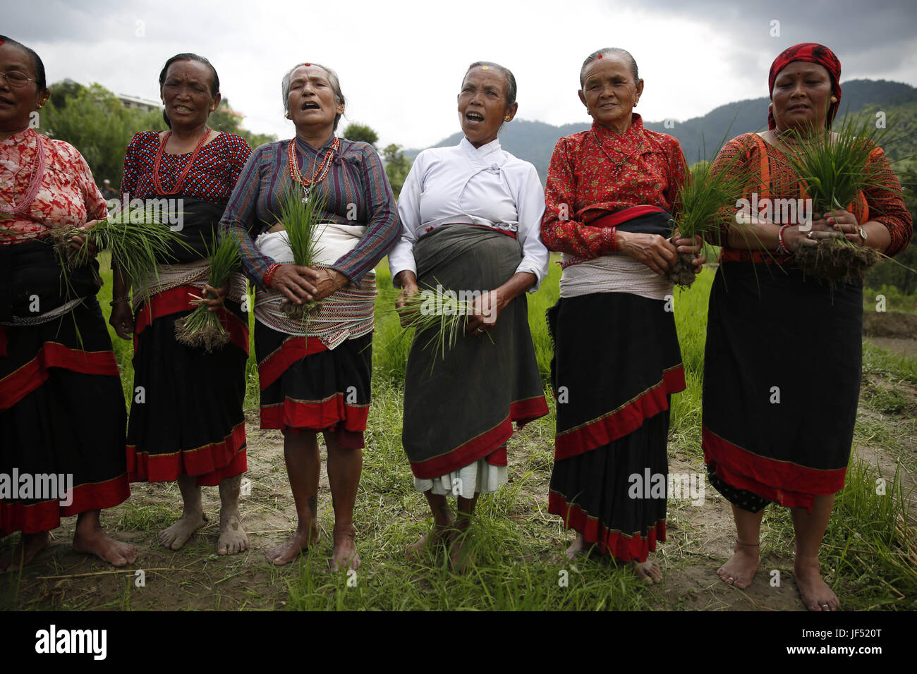 Bhaktapur, Nepal. 29th June, 2017. Women holding rice crops sing to ...