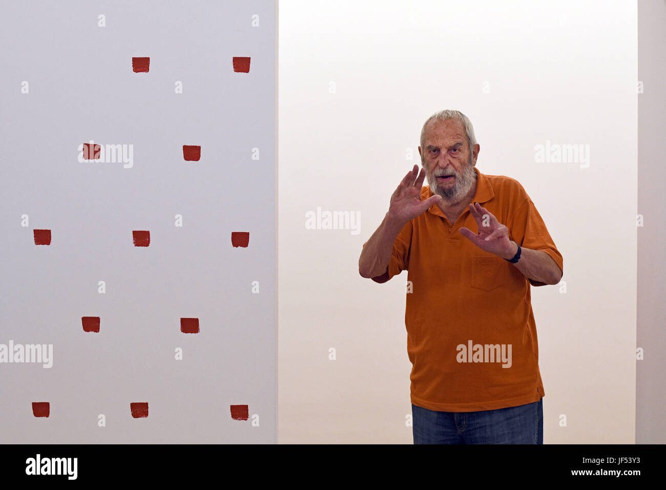 Siegen, Germany. 29th June, 2017. The Swiss concept artist Niele Toroni ...