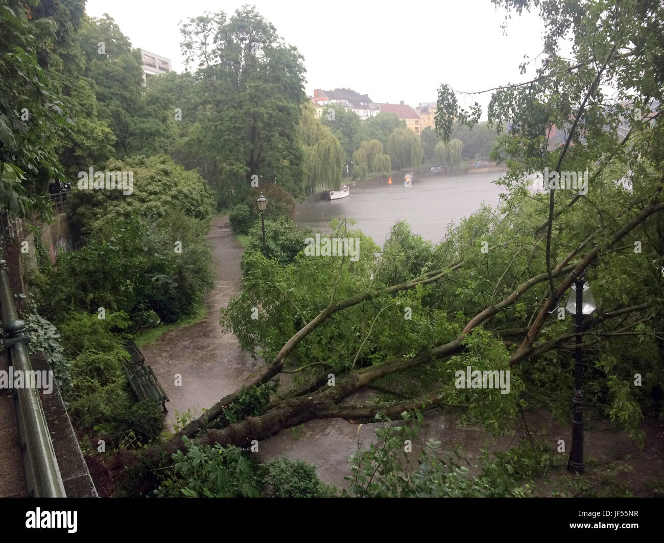 Berlin, Germany. 29th June, 2017. Uprooted tress can be seen along the ...