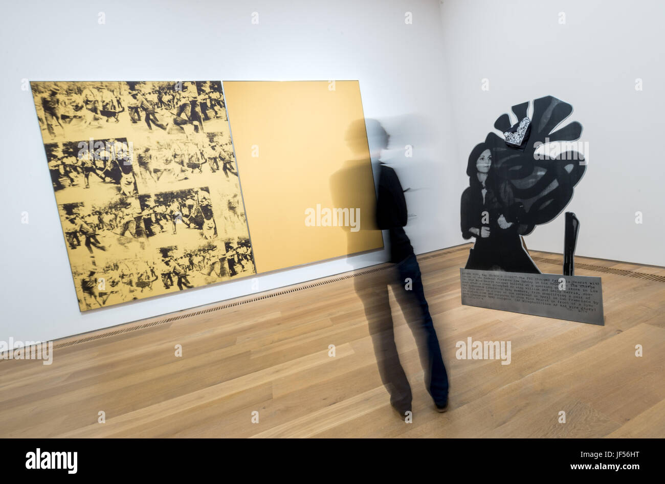 Munich, Germany. 29th June, 2017. dpatop - A visitor looks at the ...