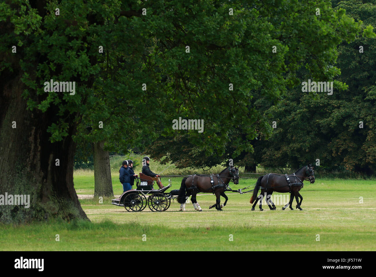 Sandringham carriage driving trials hi-res stock photography and images ...