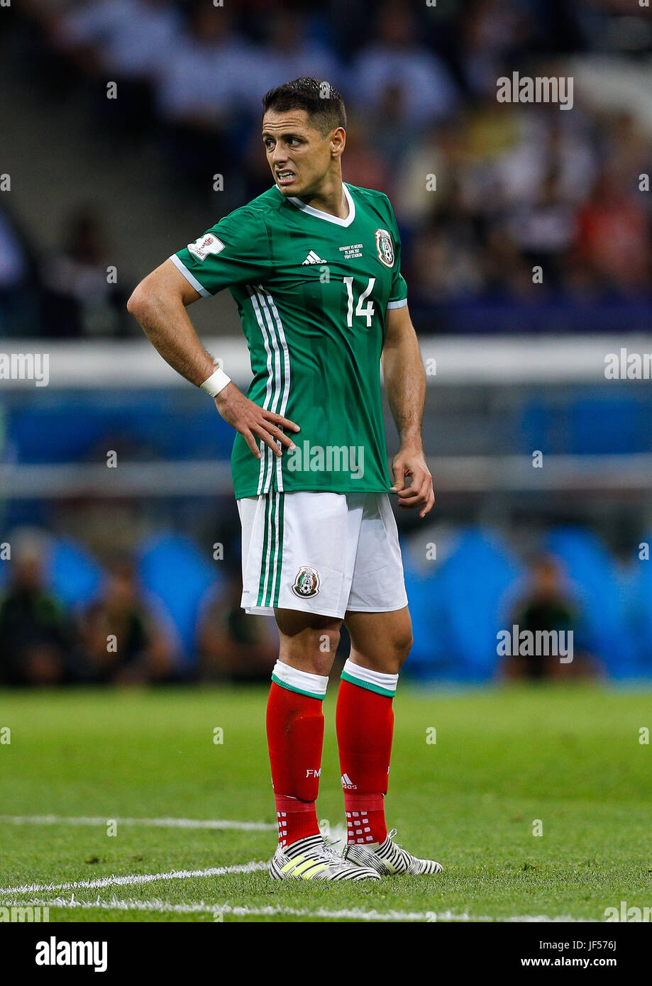 Marcelo hernandez hi-res stock photography and images - Alamy