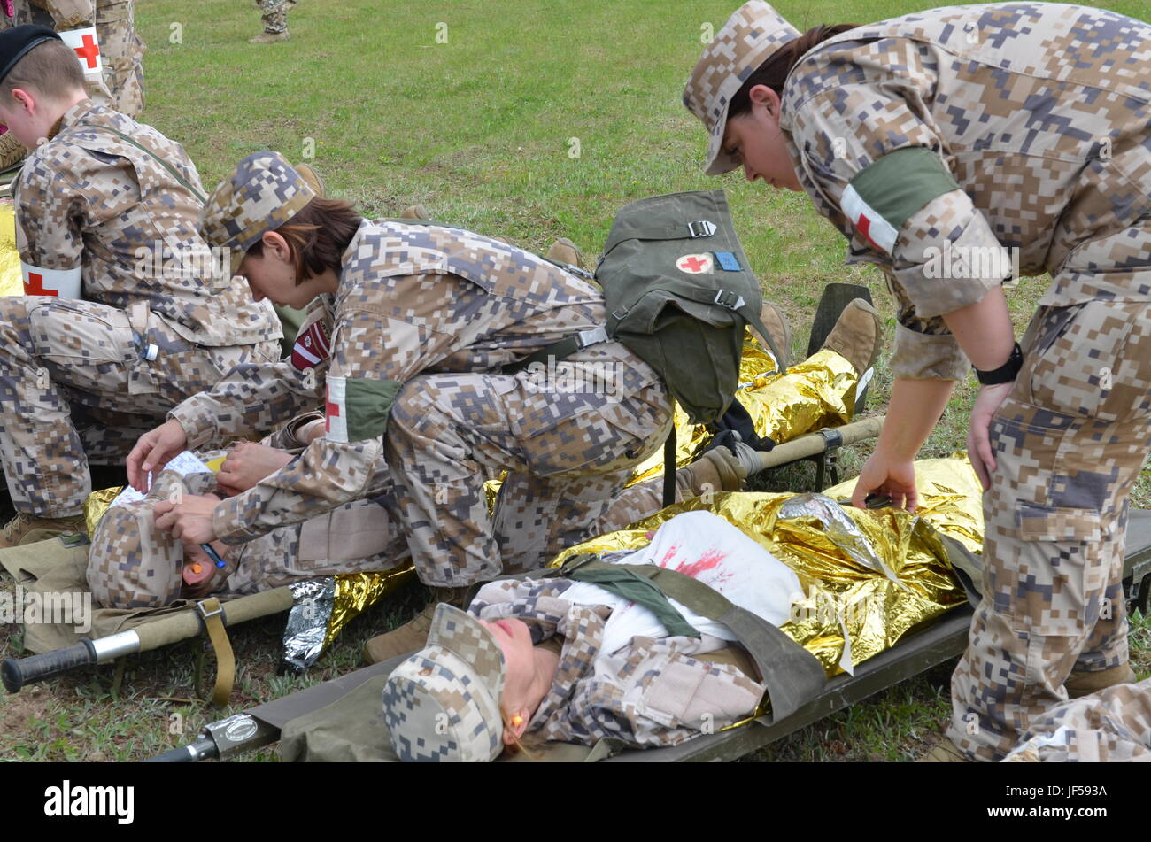 Members of the Latvian Zemessardze or National Guard 45th Logistics ...