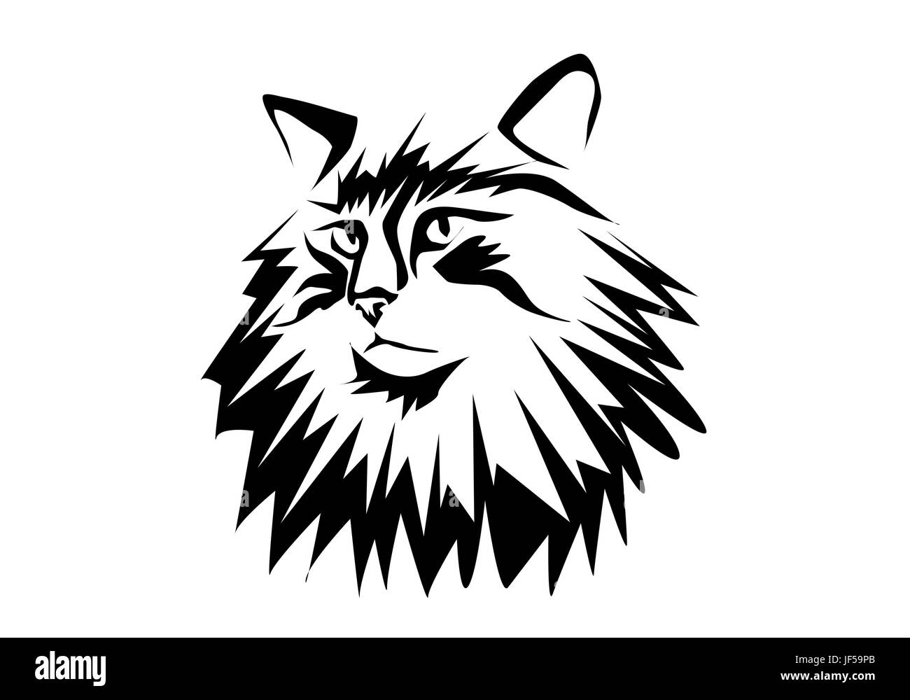 Portrait norwegian pussycat cat domestic Black and White Stock Photos ...