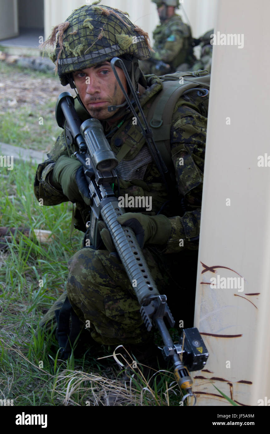 Canadian soldier royal regiment hi-res stock photography and images - Alamy