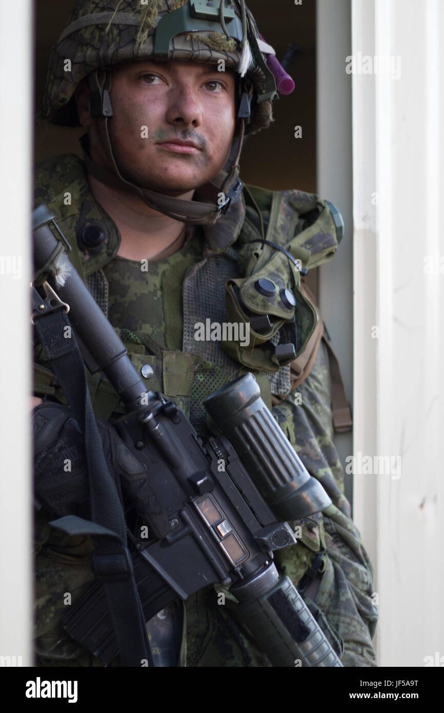 A Canadian soldier, 1st Battalion The Royal Canadian Regiment, Bravo ...