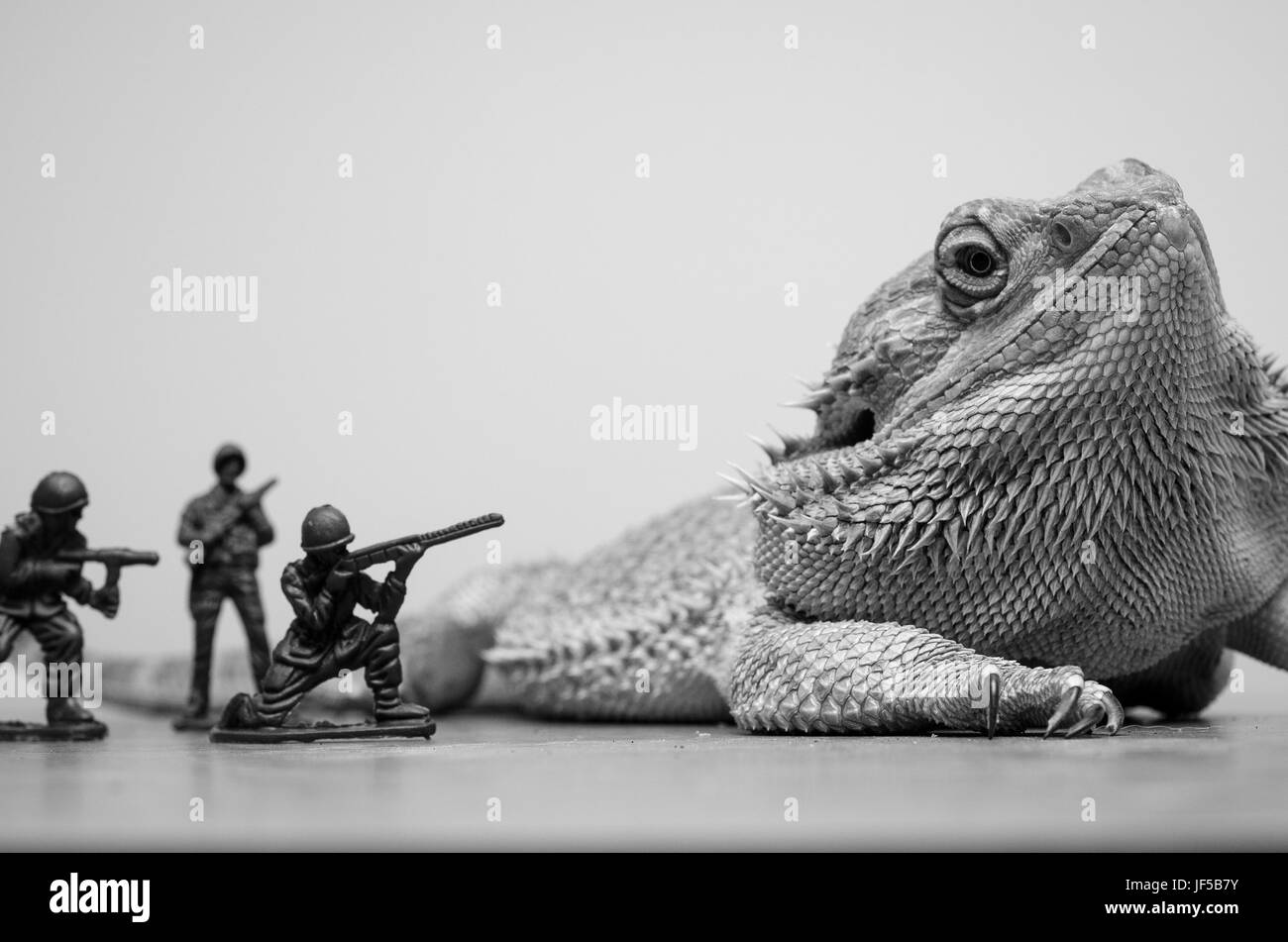 bearded dragon monster attacked by plastic soldiers Stock Photo - Alamy