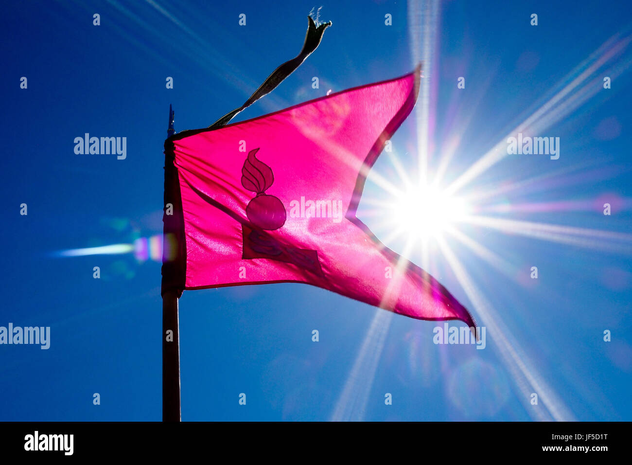 Sustainment support battalion hi-res stock photography and images - Alamy