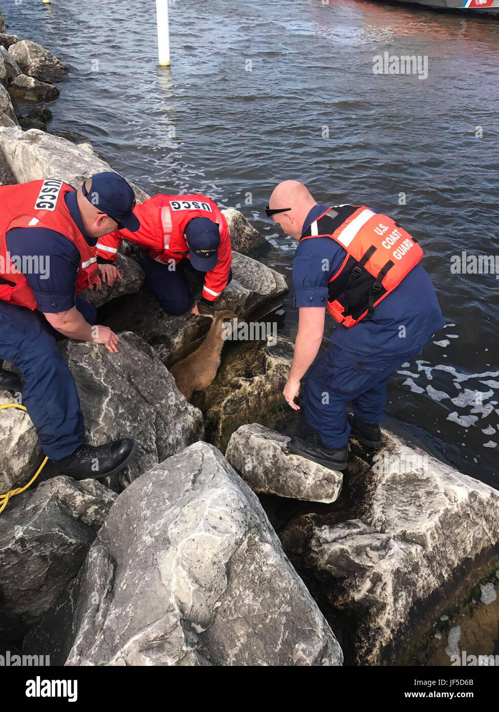 Members of Coast Guard Station Manistee, Michigan, rescue a pregnant ...