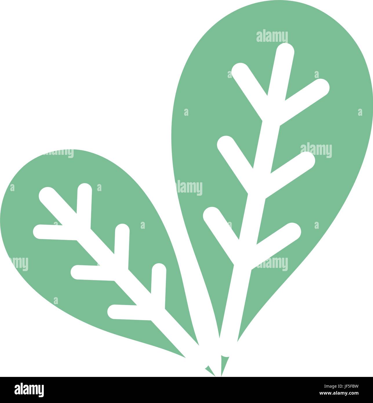 Botany leaves ecology care Stock Vector Images - Alamy