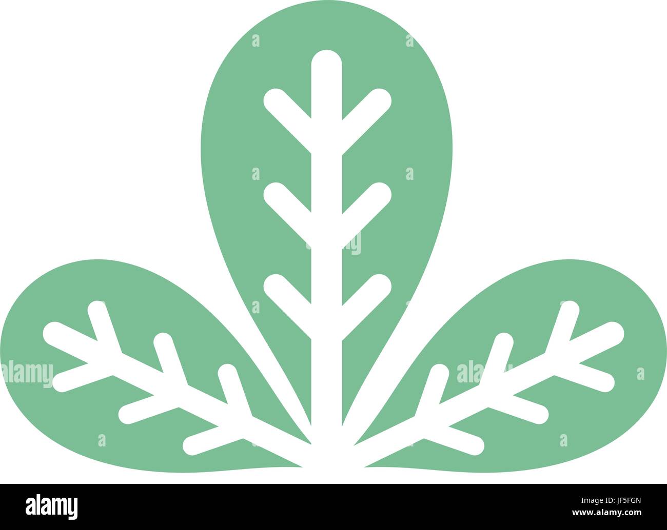 botany leaves to ecology care symbol Stock Vector Image & Art - Alamy