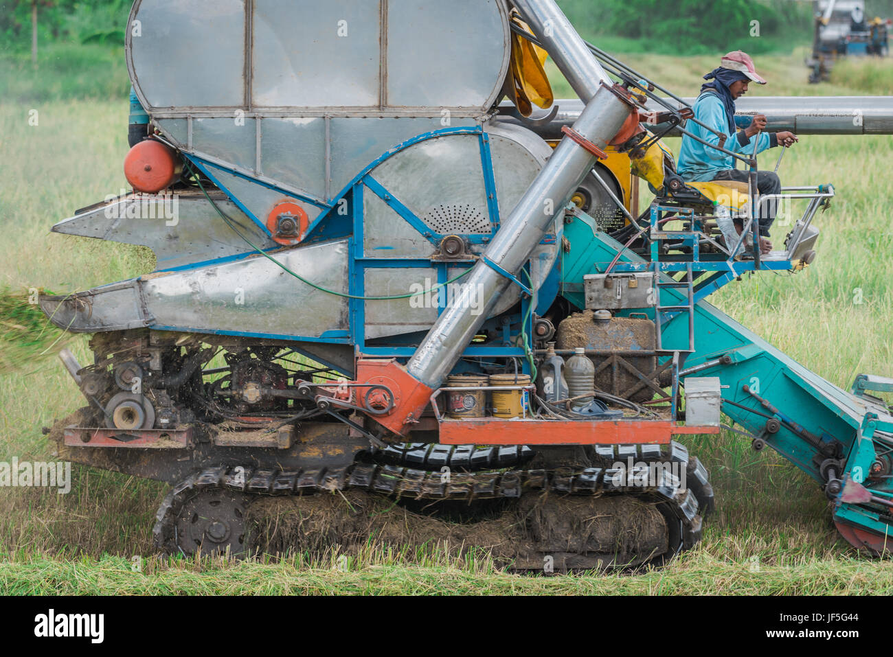 Rice Fields Near Bangkok at Guadalupe Wolf blog