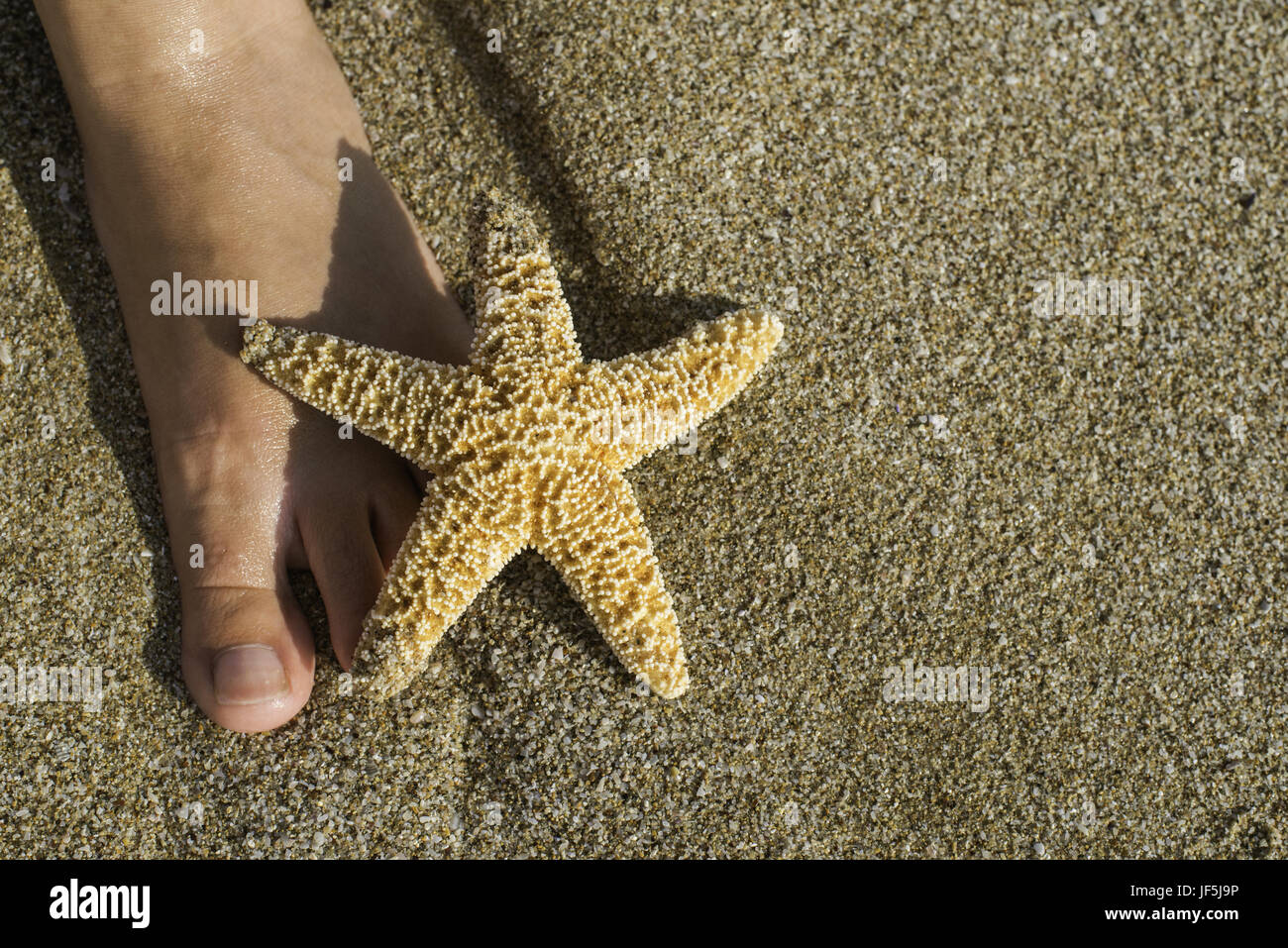 Starfish Feet Sand High Resolution Stock Photography and Images - Alamy