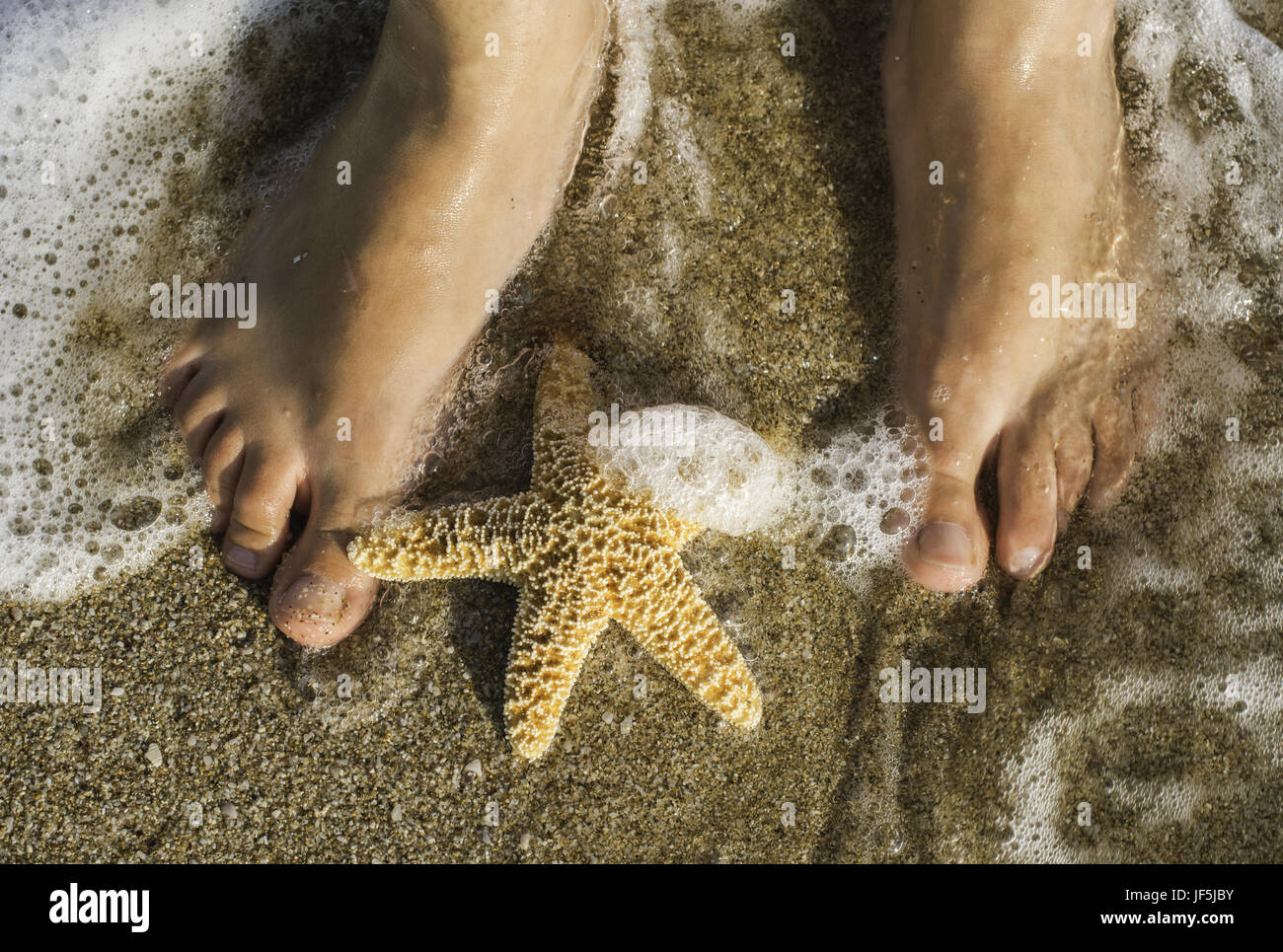 Starfish Feet Sand High Resolution Stock Photography and Images - Alamy
