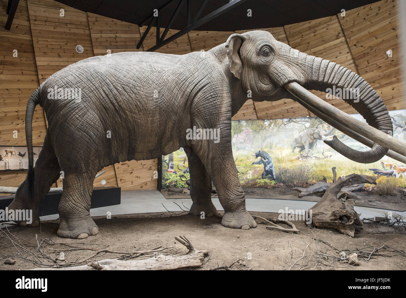 Mastodon Elephant