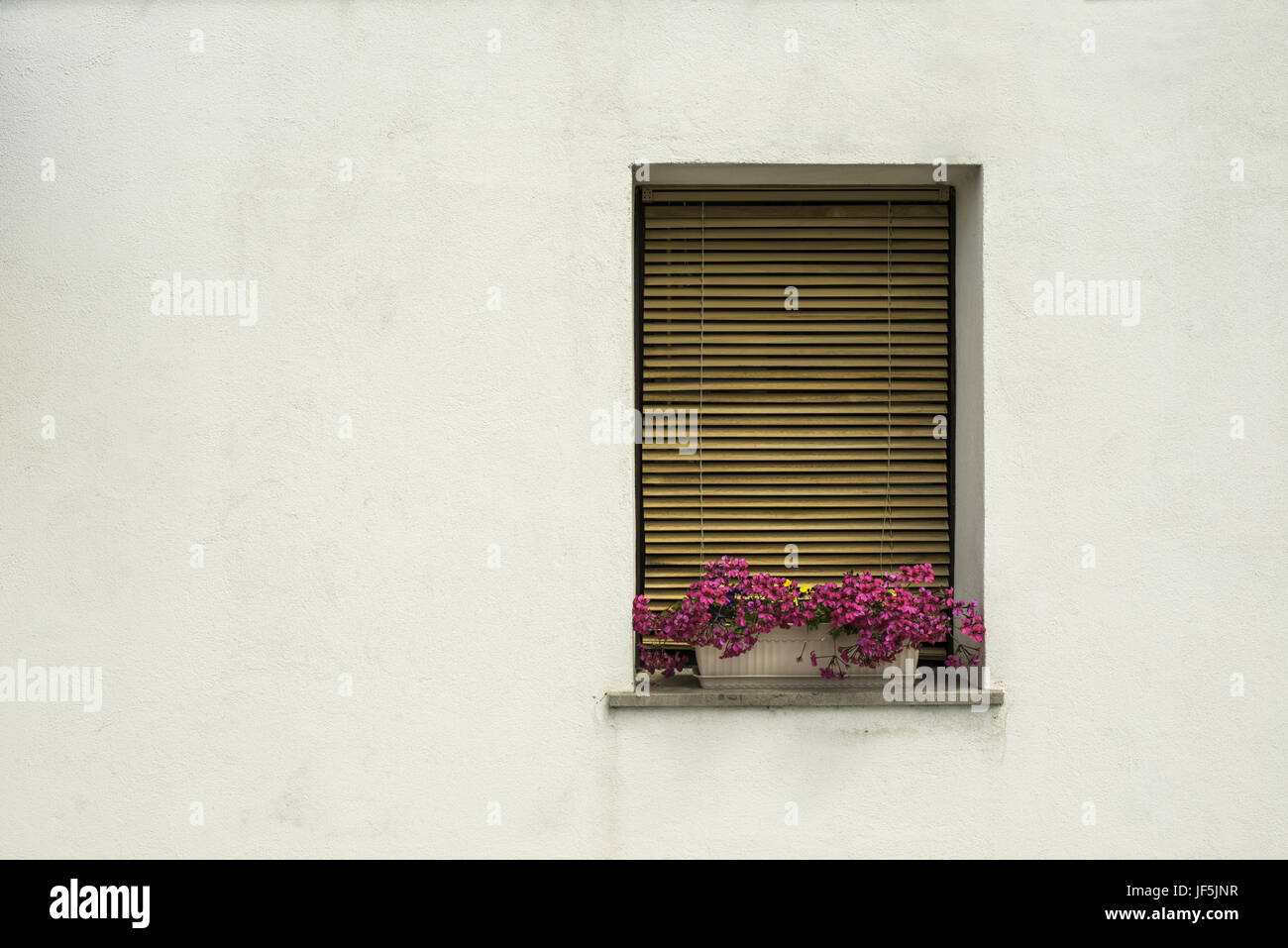 Venetian windows with flowers Stock Photo - Alamy