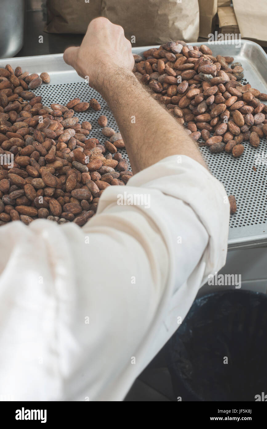 Ecuador cocoa bean harvest hi-res stock photography and images - Alamy