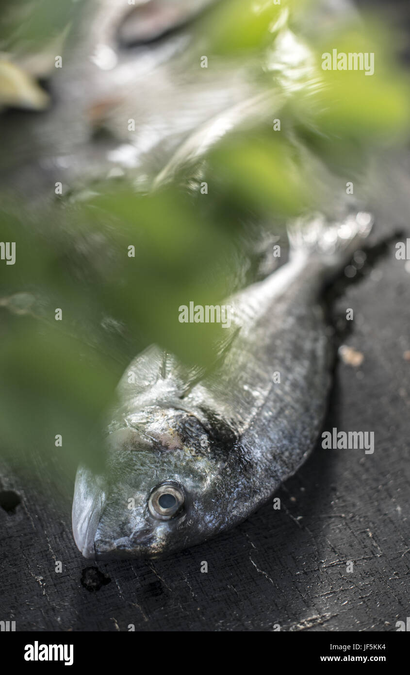 Raw Sea bream fish Stock Photo - Alamy
