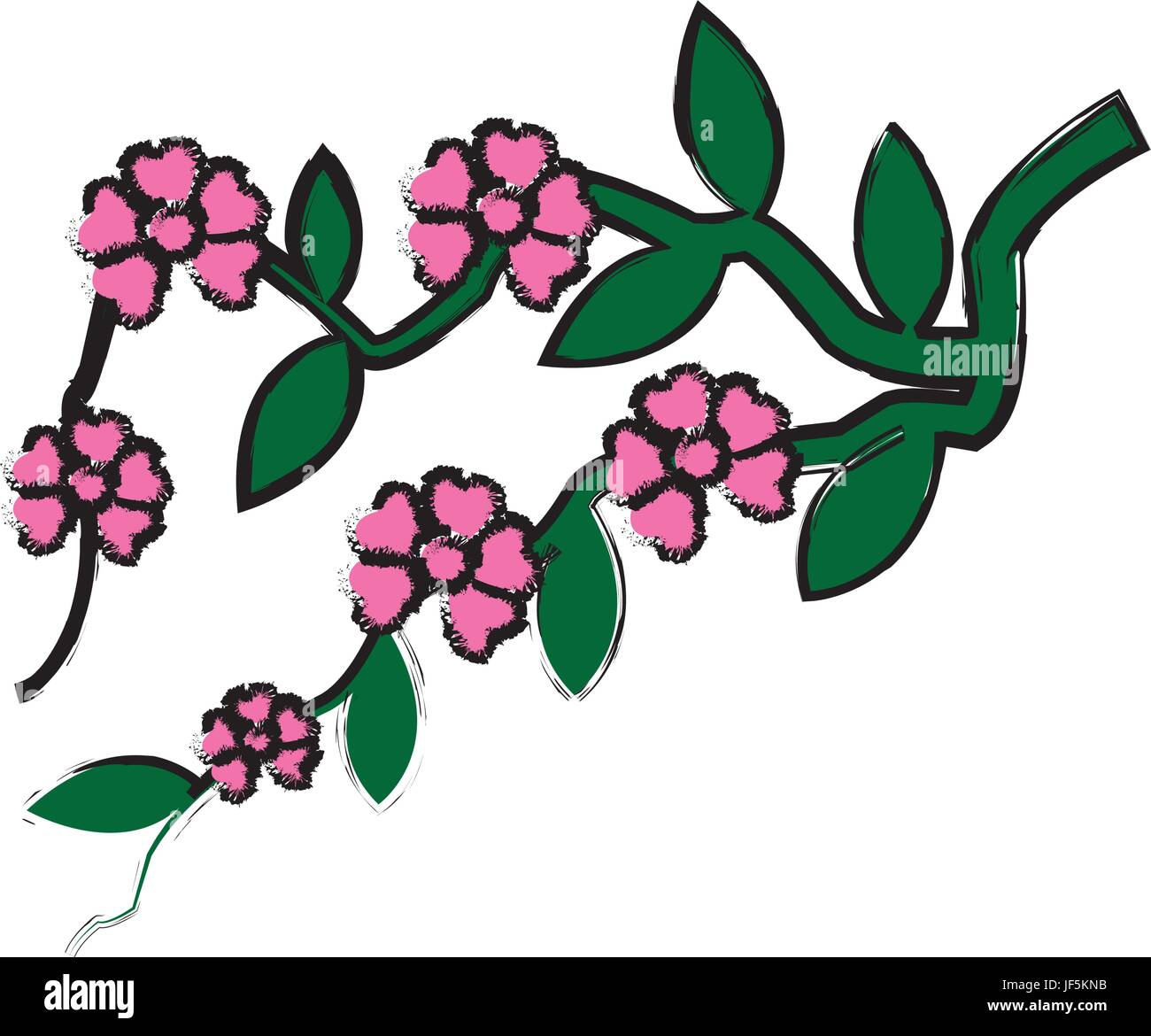 Detail blooming cherry blossom Stock Vector Images - Alamy
