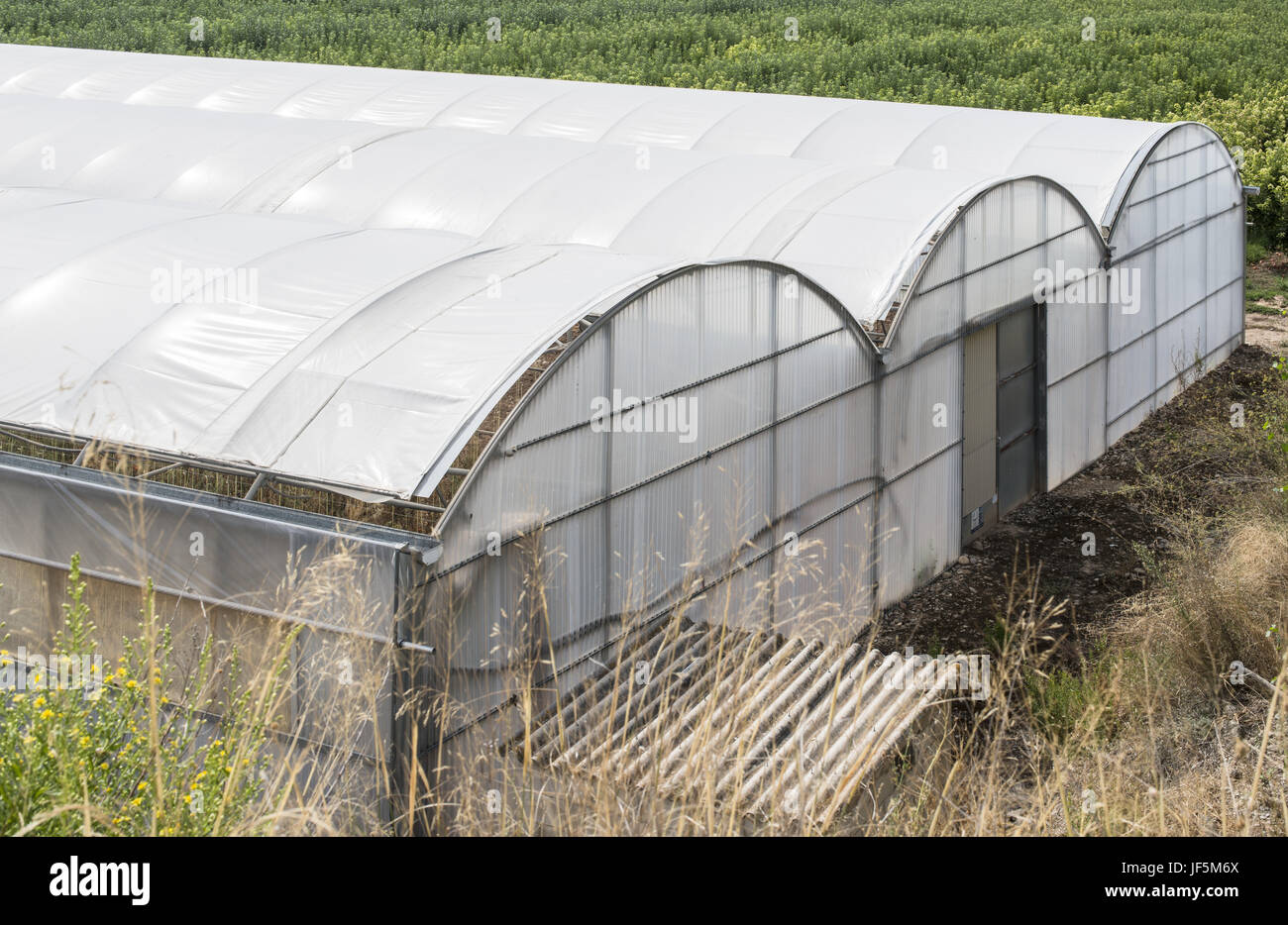 Polythene house hi-res stock photography and images - Alamy