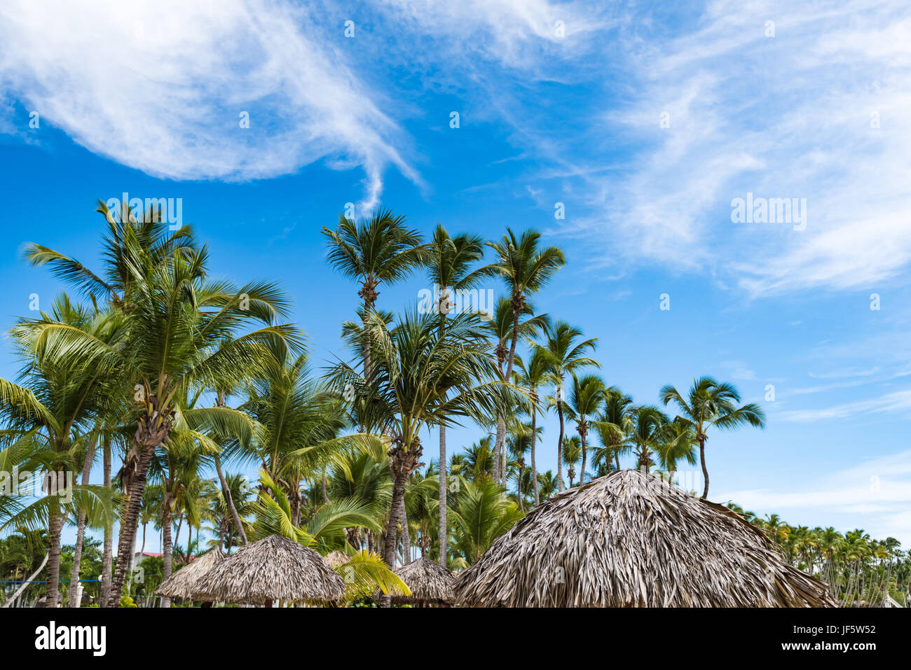 Palm leaf hut hi-res stock photography and images - Alamy