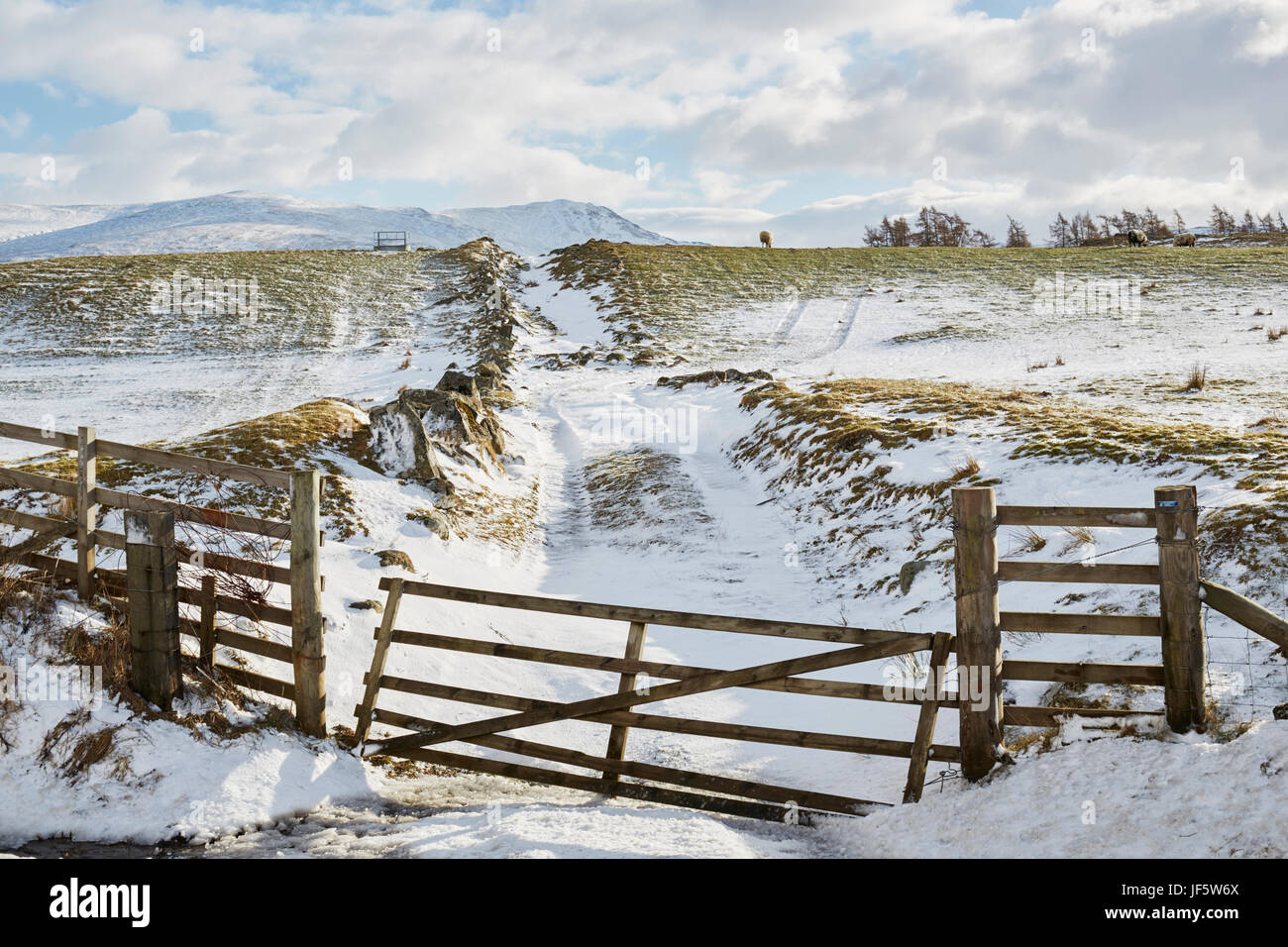 Old gate on dirt track Stock Photo - Alamy