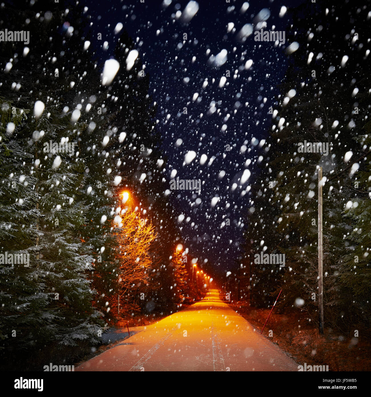 Illuminated road at winter Stock Photo - Alamy