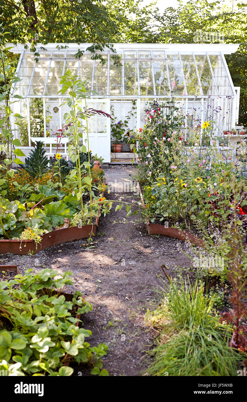 Vegetable patch and greenhouse Stock Photo - Alamy