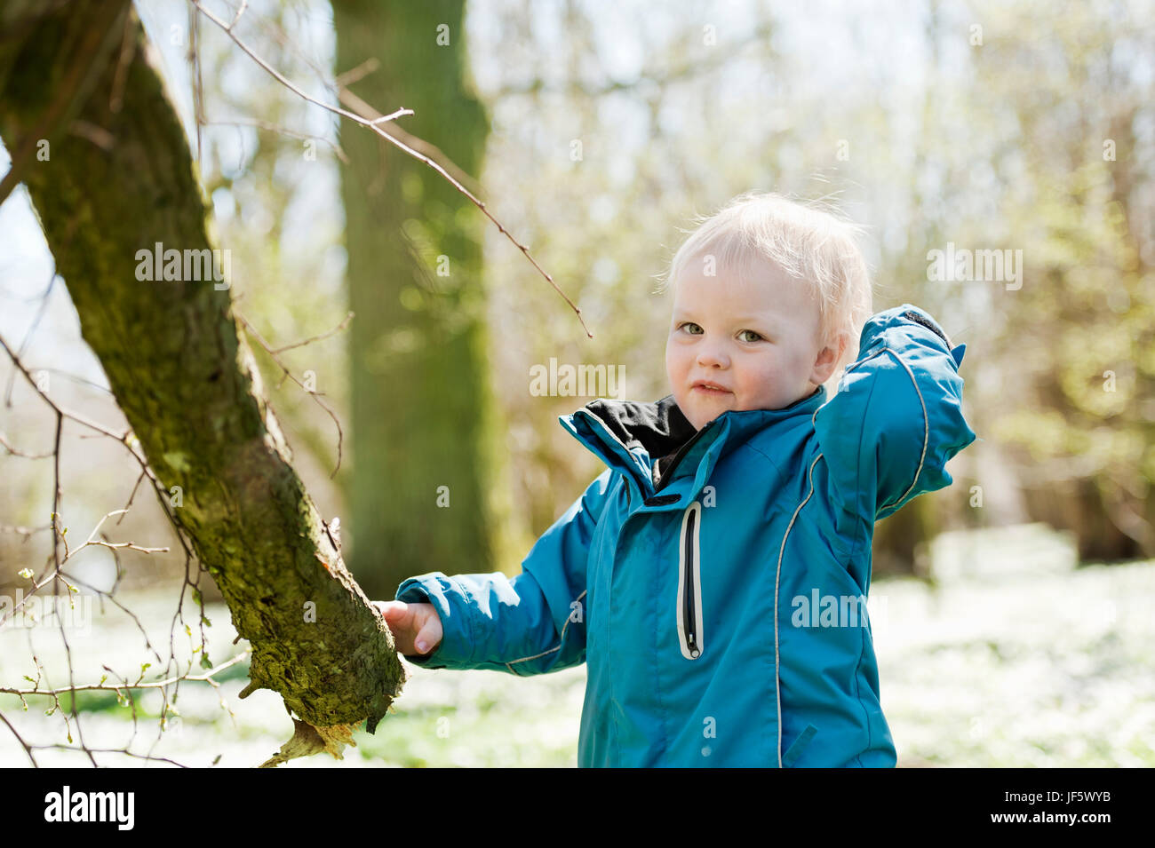 Cute boy in forest Stock Photo - Alamy