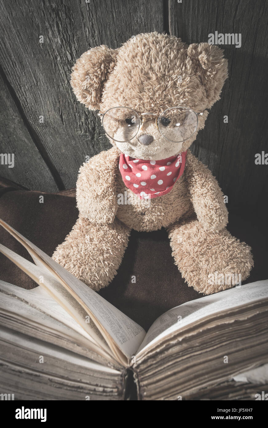 Children teddy bear with book Stock Photo - Alamy