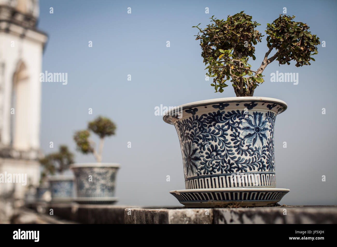Beautiful ceramic pot hi-res stock photography and images - Alamy