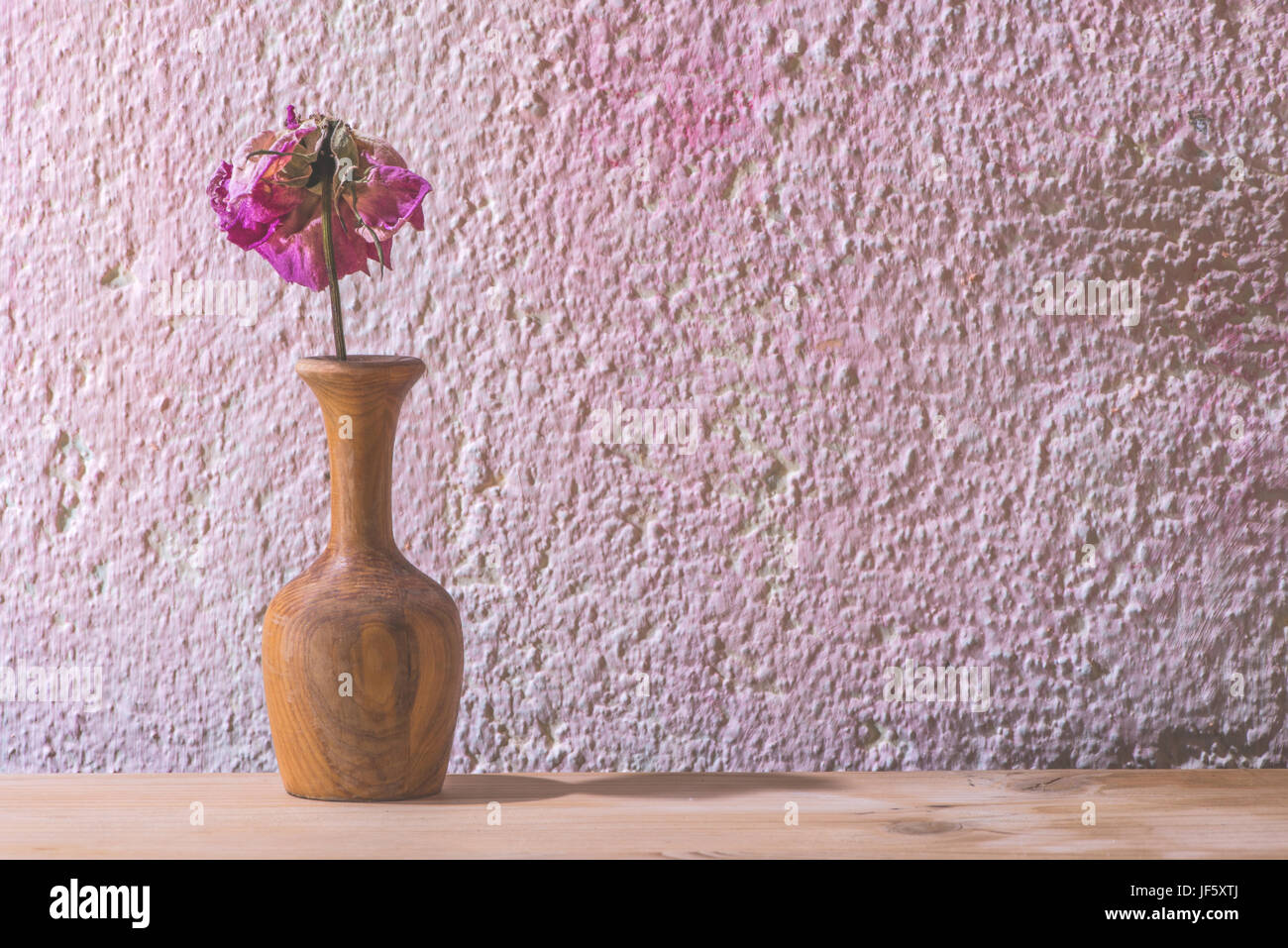 Withered rose flower Stock Photo - Alamy