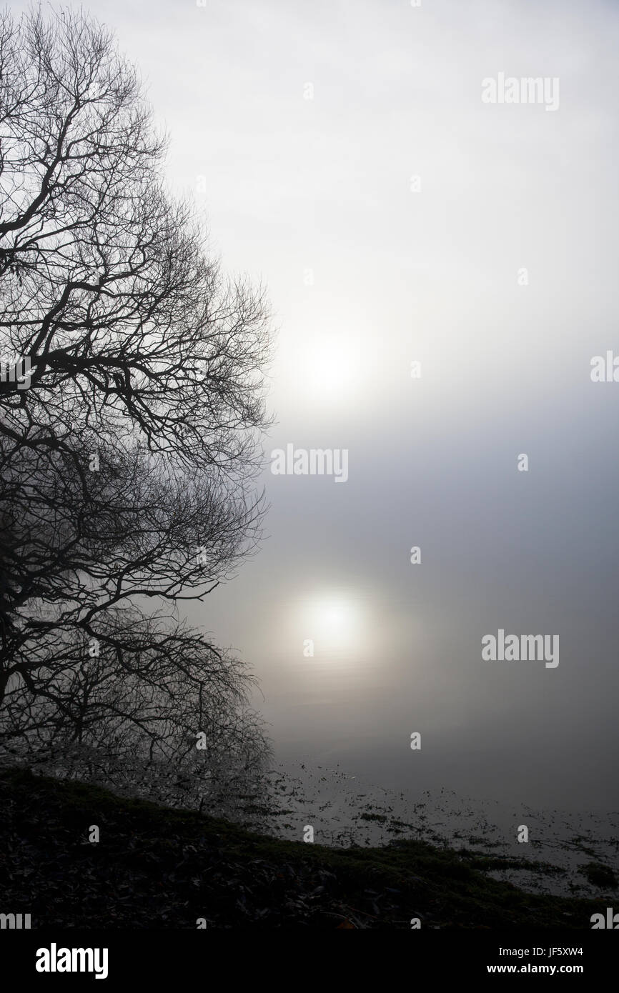 Morning sun reflecting in water Stock Photo - Alamy