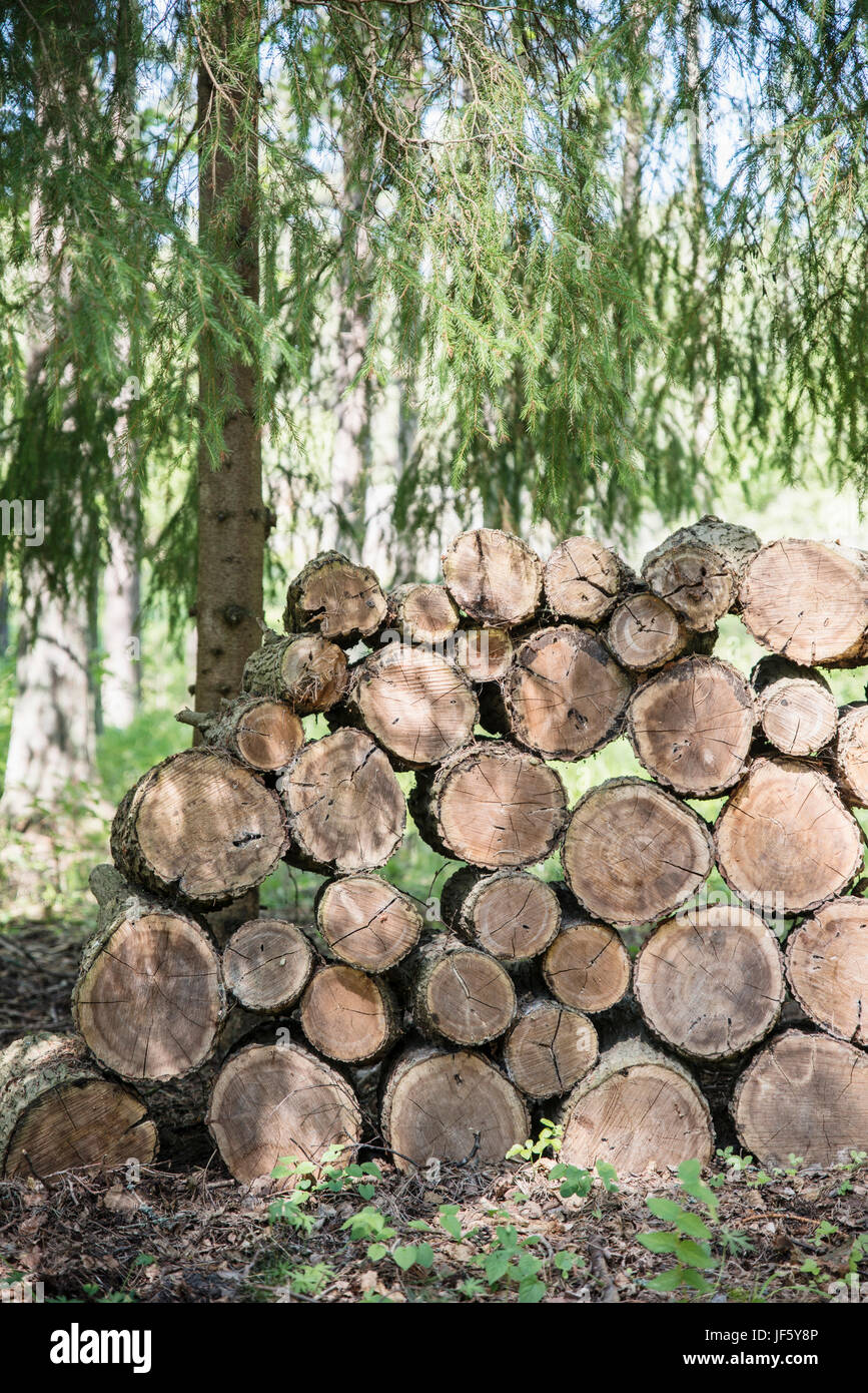 Stack of logs Stock Photo - Alamy