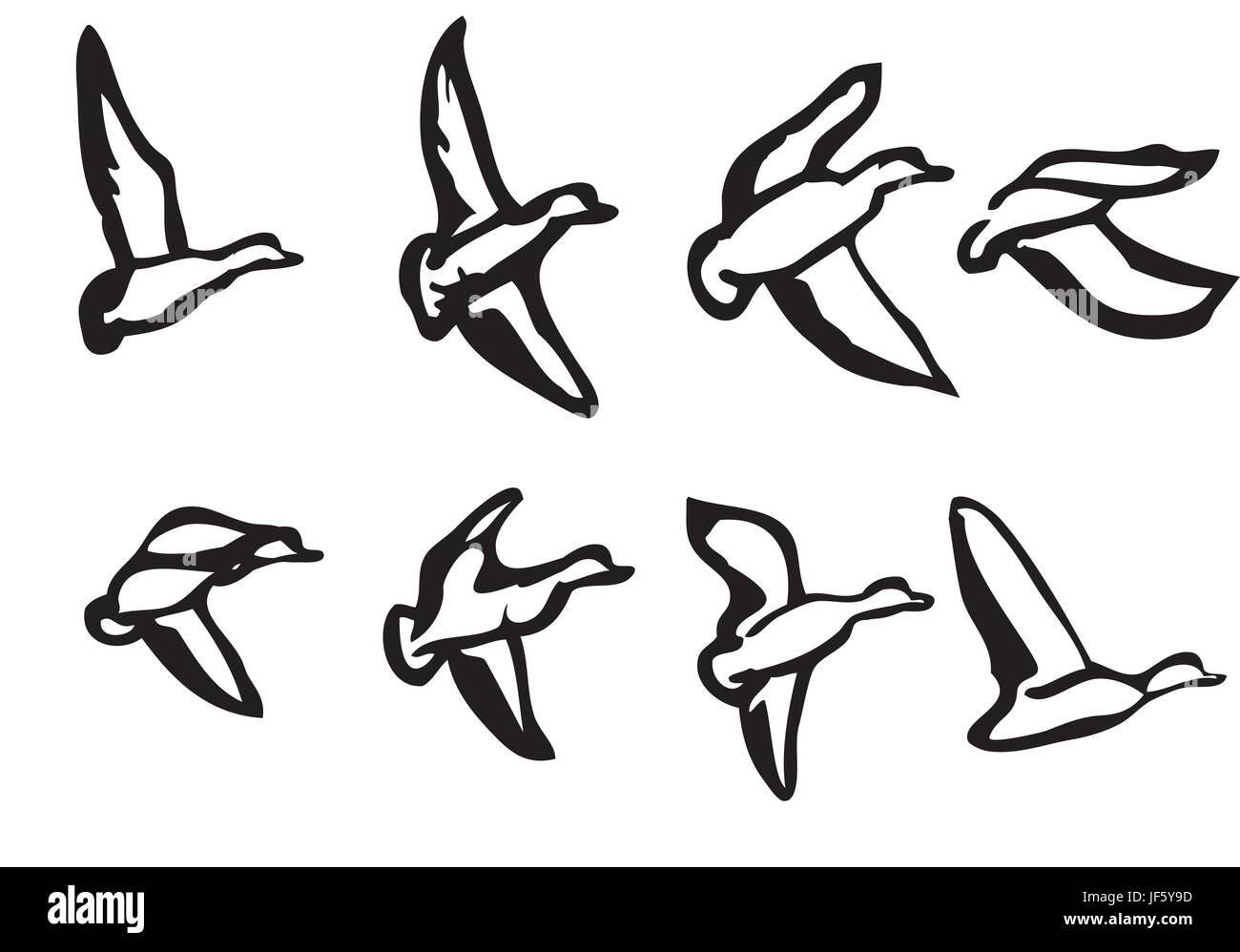 Flying ducks illustration Stock Vector Images - Alamy