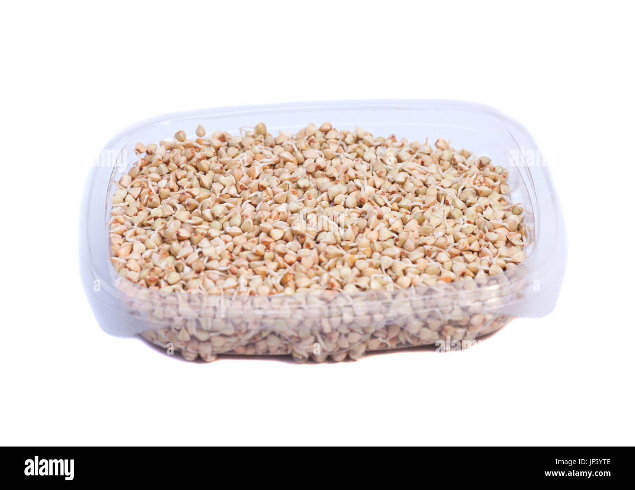 Buckwheat sprouts in box isolated on white Stock Photo - Alamy
