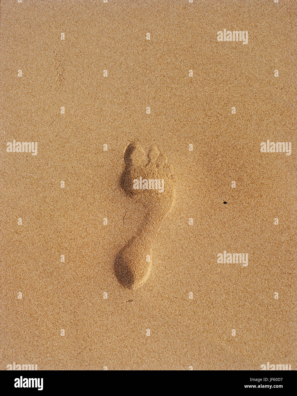 Footprint on sand Stock Photo - Alamy