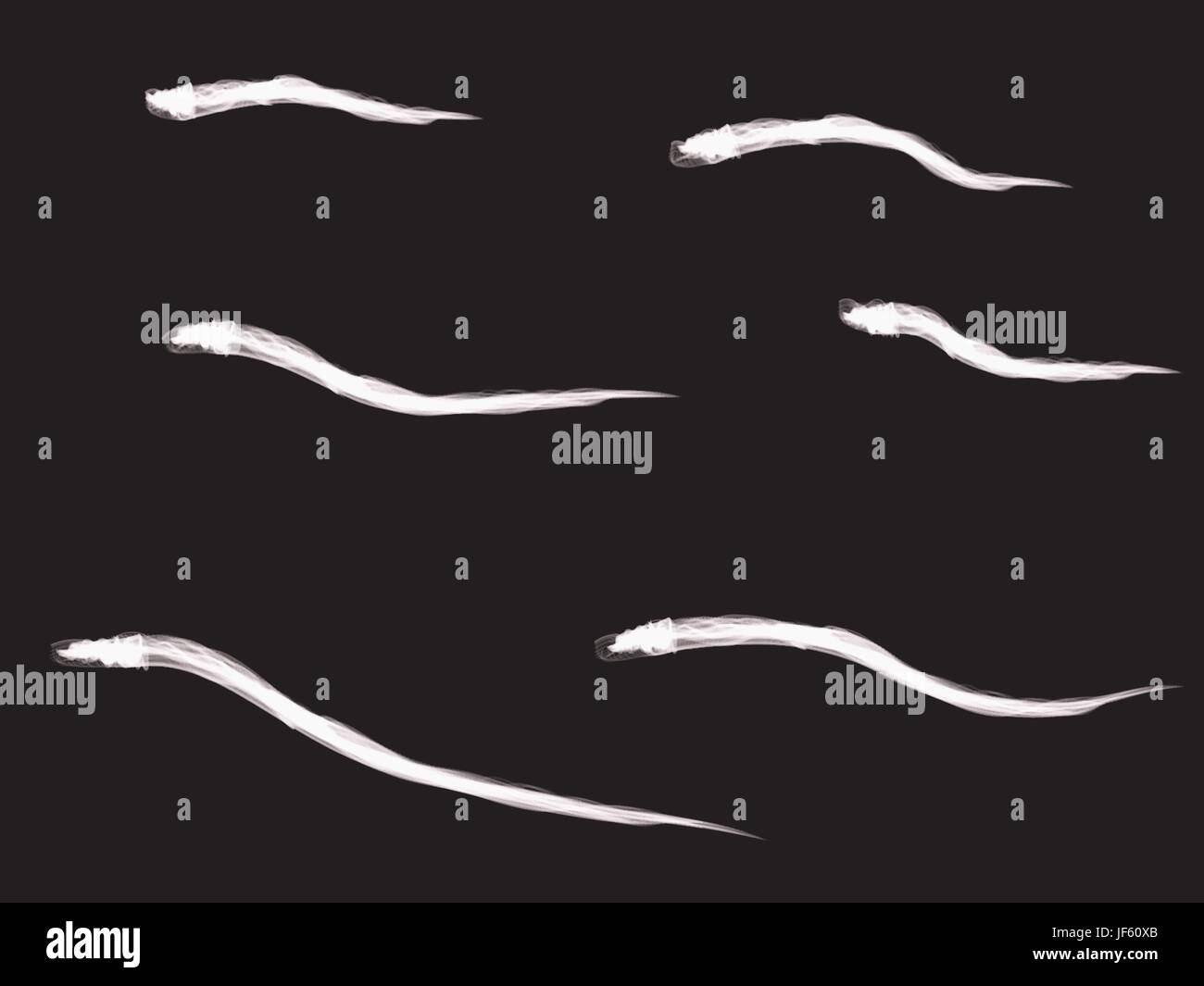 Black background snake photo Stock Vector Images - Alamy