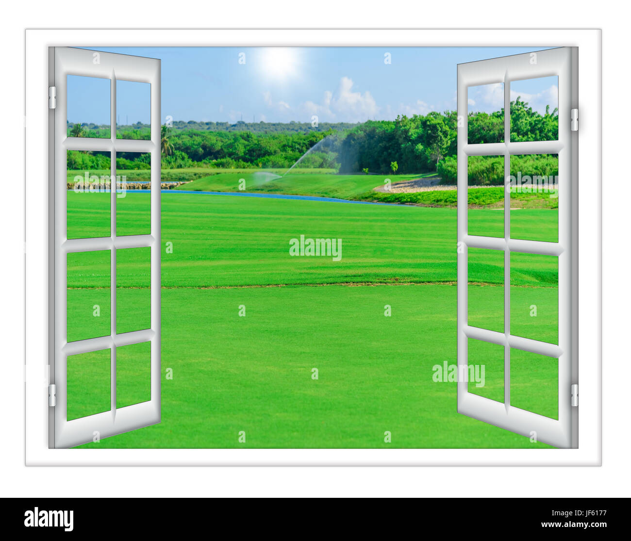 Tree views Cut Out Stock Images & Pictures - Alamy