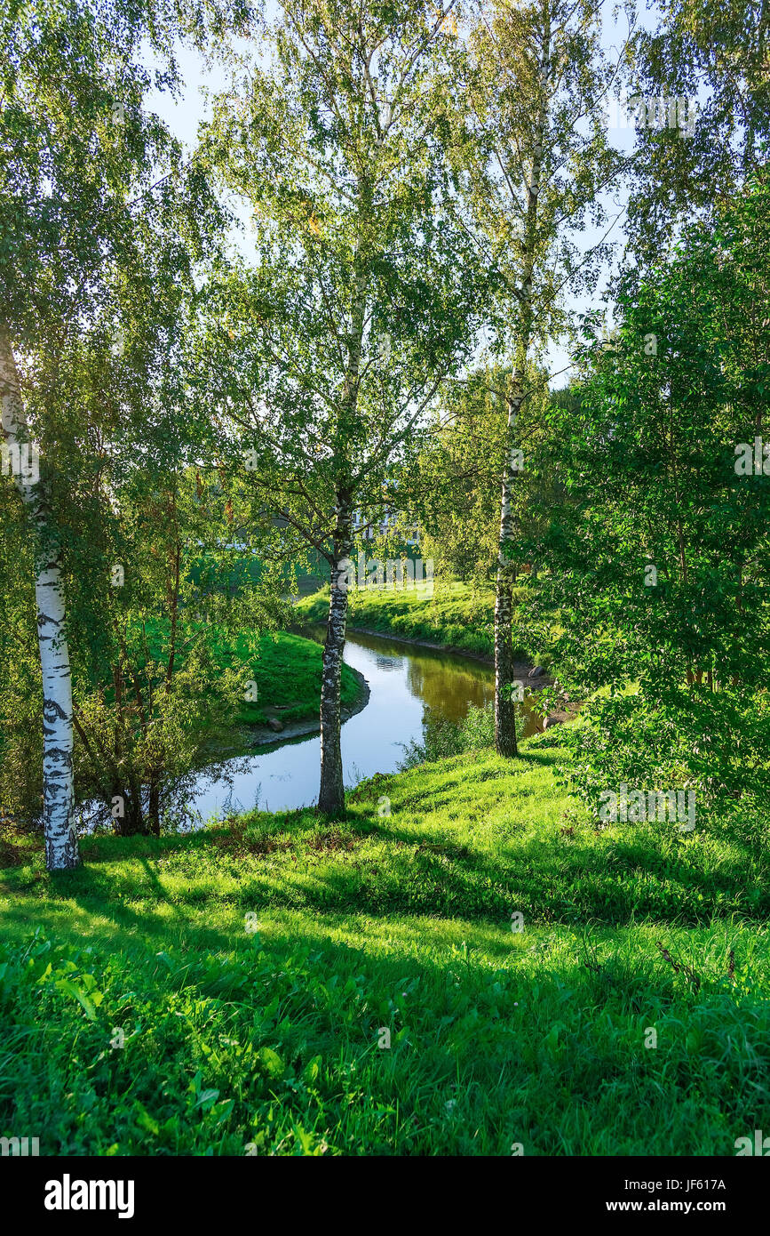river forest landscape Stock Photo - Alamy