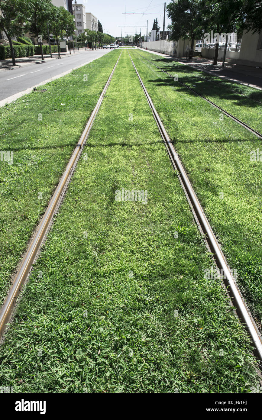 Tramways and green lawn Stock Photo - Alamy