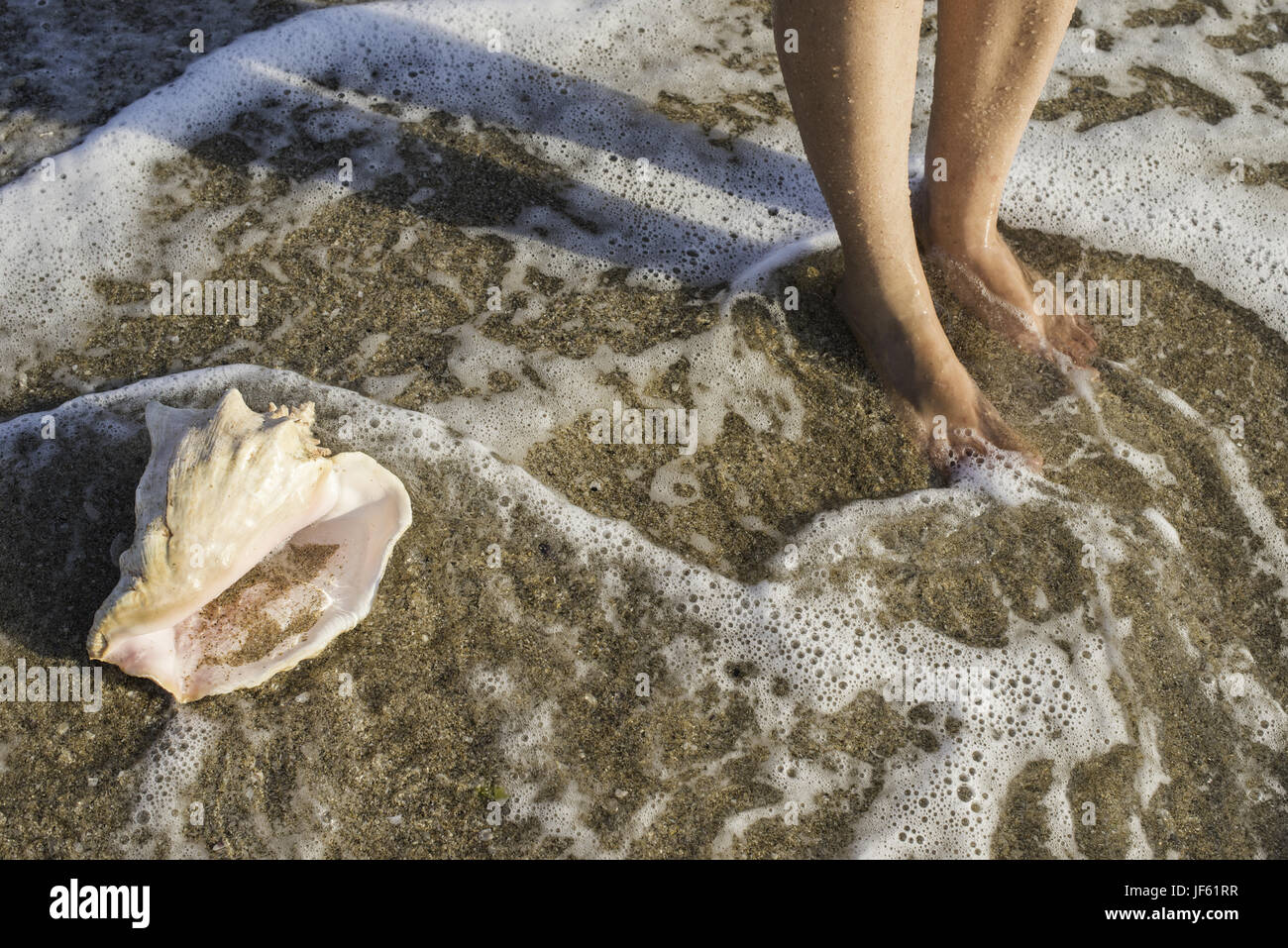 Shells on the beach. Foots in water Stock Photo - Alamy