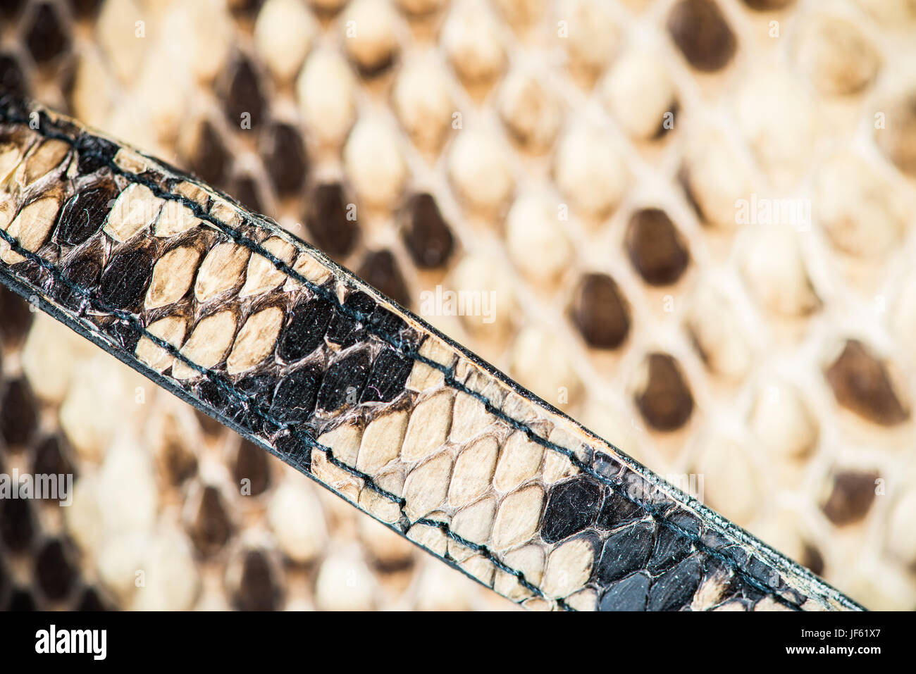 Texture of genuine snakeskin Stock Photo - Alamy