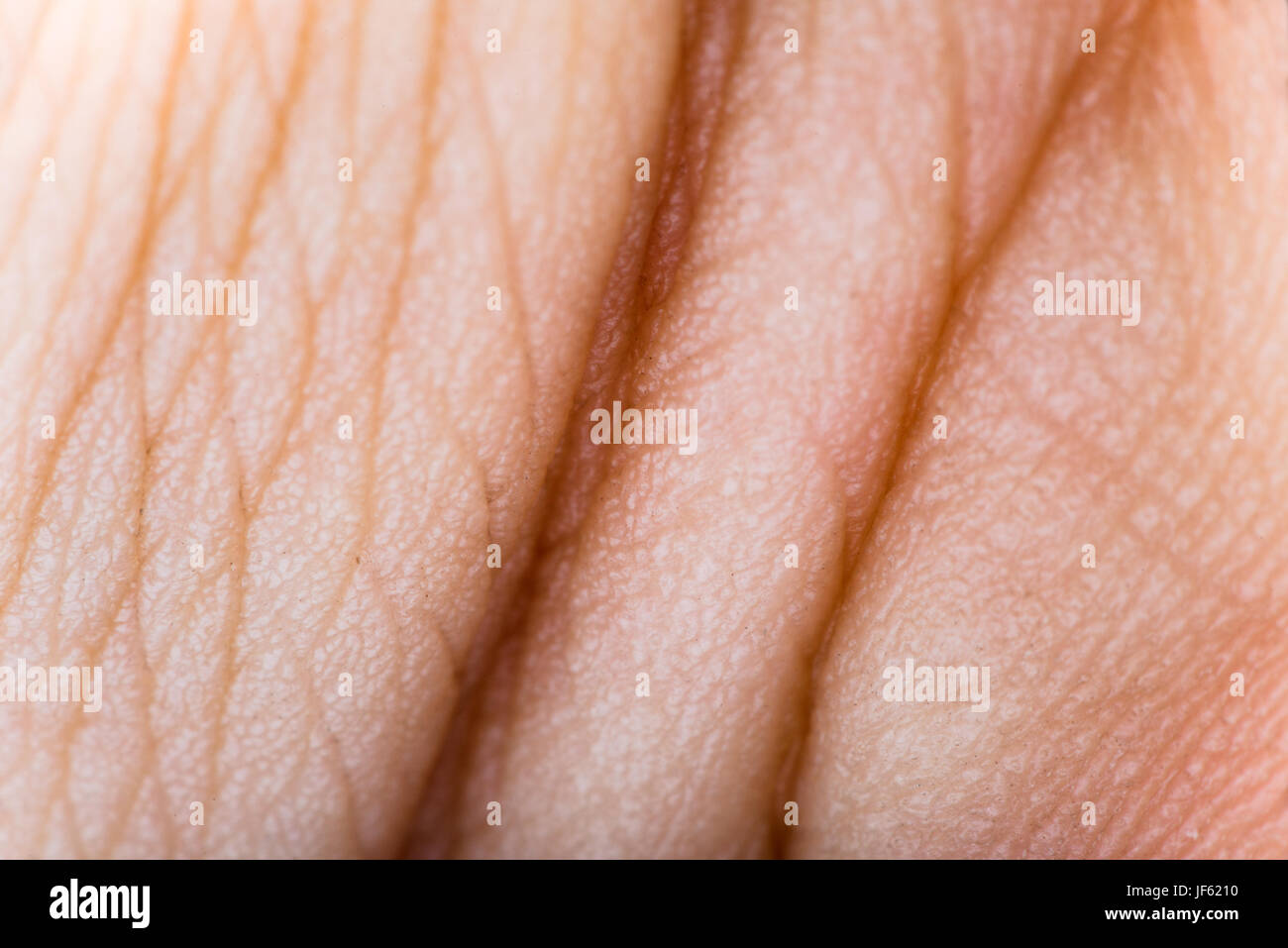 Close up human skin. Macro epidermis Stock Photo - Alamy