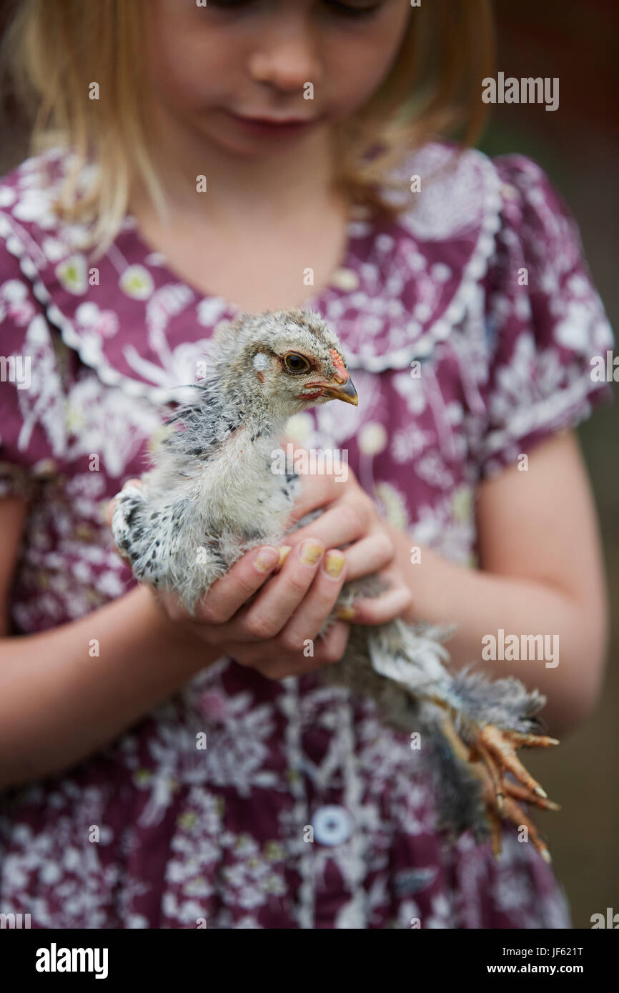 Girl with chicken Stock Photo - Alamy