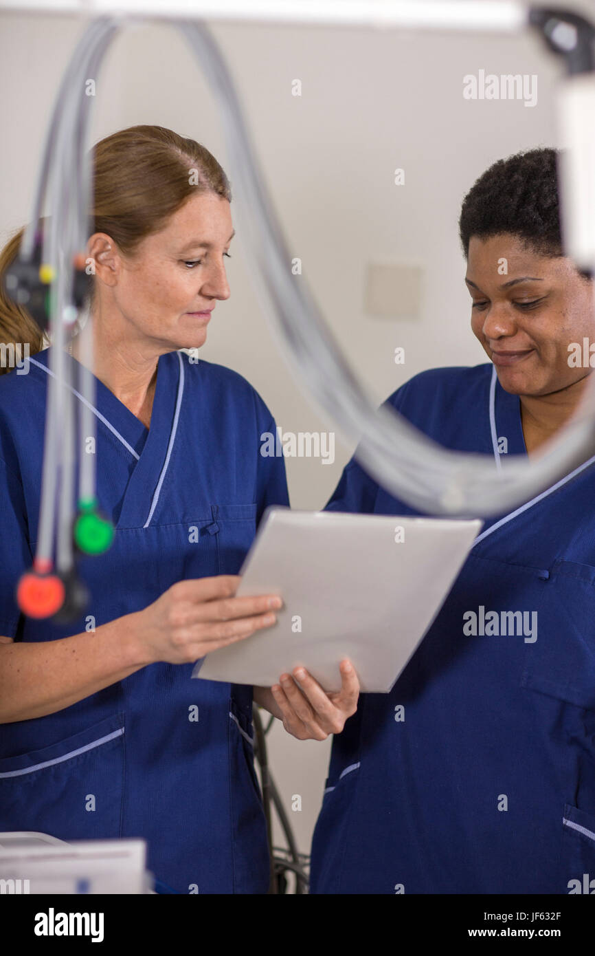 Female doctors in hospital Stock Photo - Alamy
