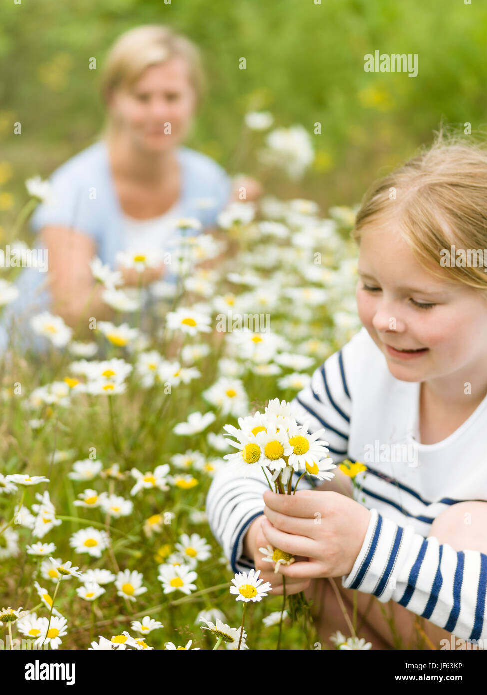 Girl picking wildflowers Stock Photo - Alamy