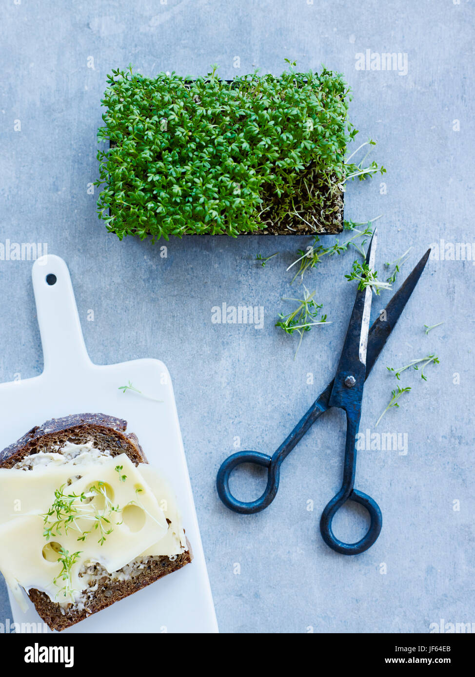 Scissors, cress and sandwich, studio shot Stock Photo - Alamy