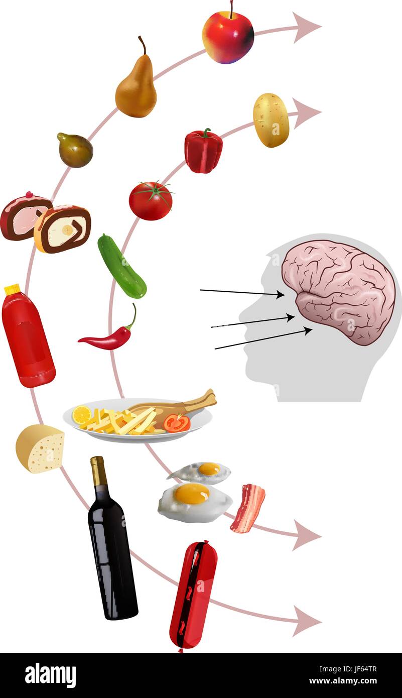 food, aliment, spice, model, design, project, concept, plan, draft ...